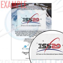 Grumman, SpaceX & ISS Flown ISS 20 Flag