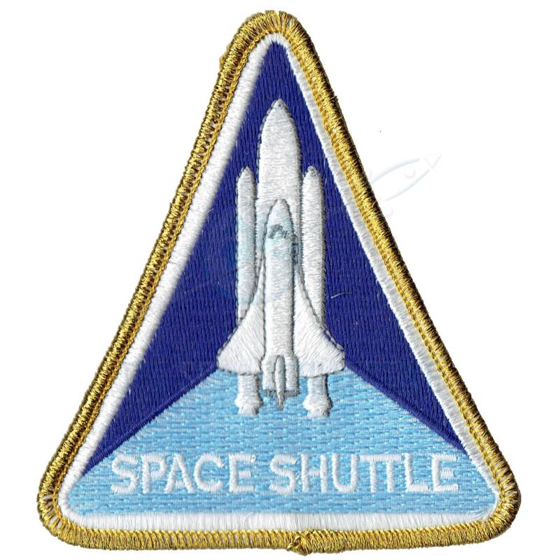 Michelangelo Nasa Challenger Patches