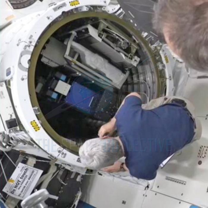 SpaceX Flown-In-Space Red NASA Worm Patch