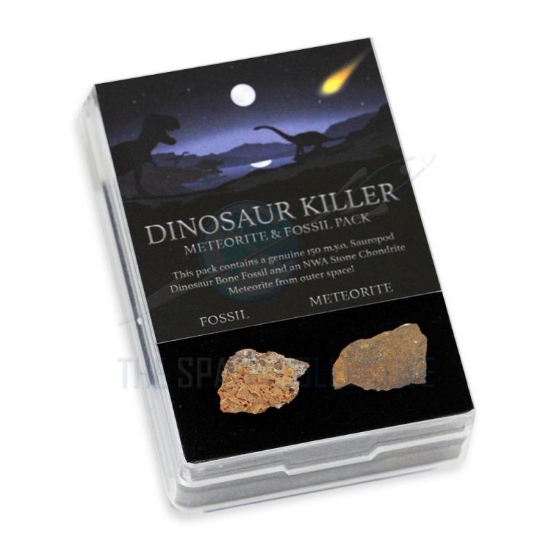 Genuine Meteorite & Fossil Gift Pack